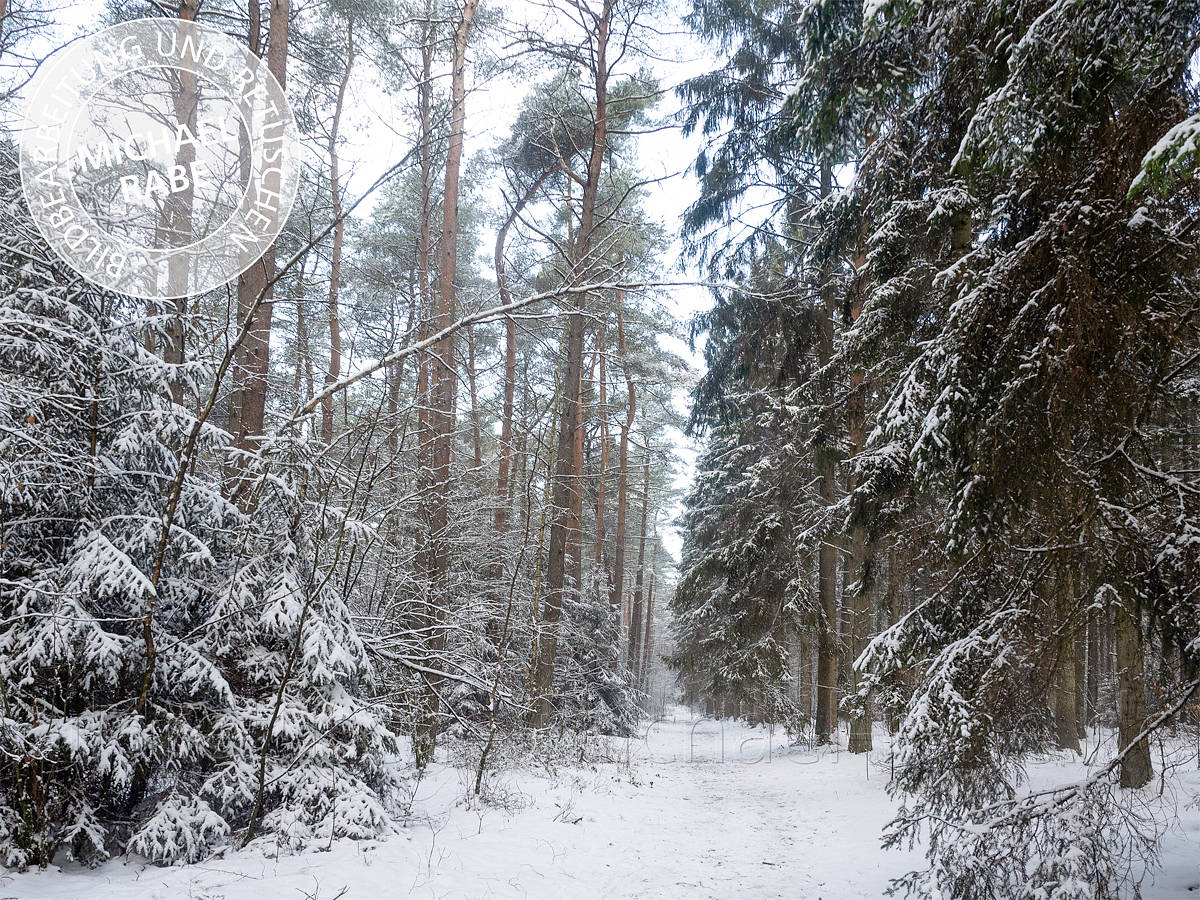 Kontrast im Glossar Bildbearbeitung und Bildretusche - Michael Rabe